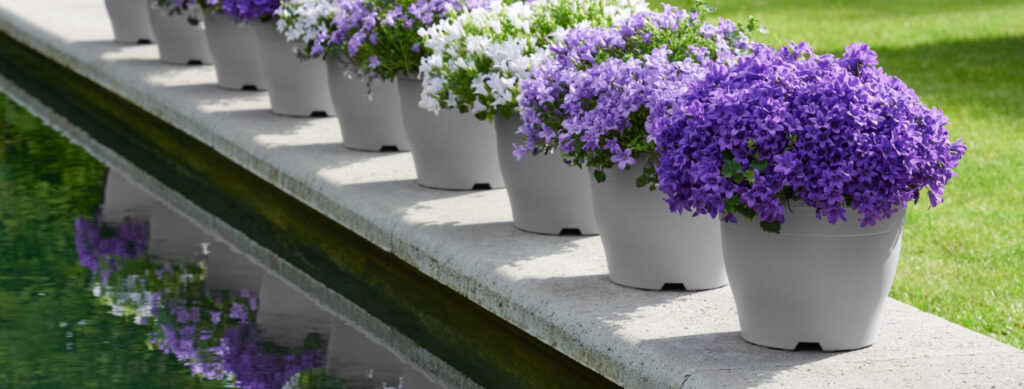 Turn a rain shower into something positive! | Addenda