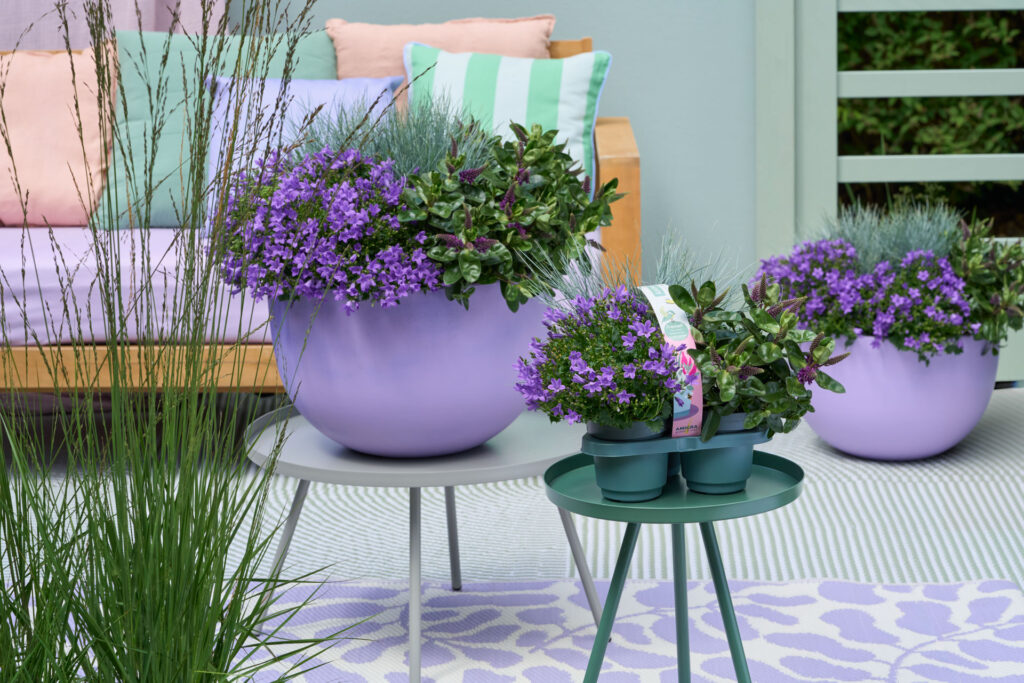 Assortiment | Addenda